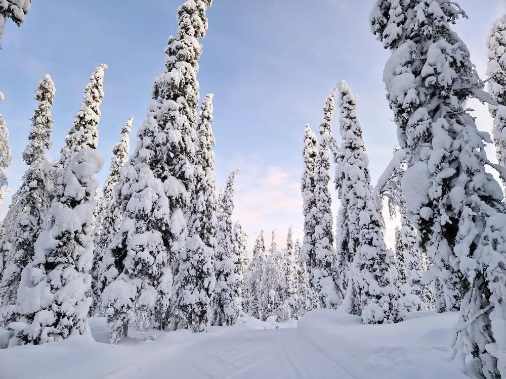 About Ylläs | AuroraCottage